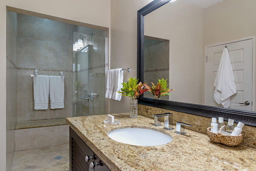 Wag Water - All In Experiences